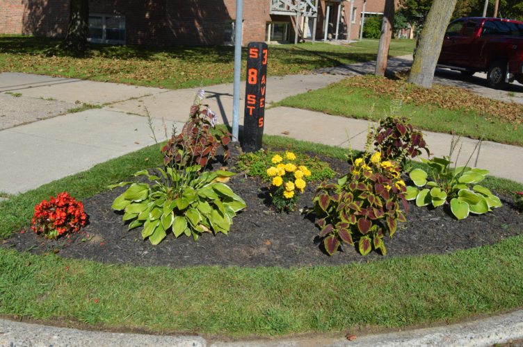 Corners in bloom in Esky | News, Sports, Jobs - Daily Press